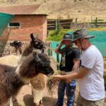 From Cusco: Cusco Machu Picchu Luxury Tour - Day Two: Machu Picchu in Style