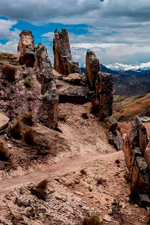 From Cusco: Day tour to Palcoyo Rainbow Mountain - The Sum Up