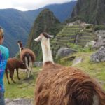 From Cusco: Machu Picchu day trip - Is It Worth the Price?
