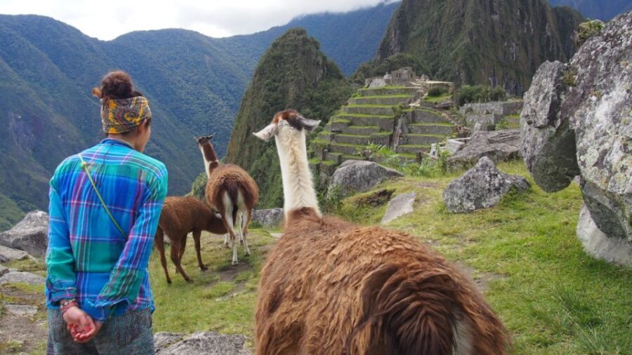 From Cusco: Machu Picchu day trip - Is It Worth the Price?