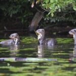 From Cusco: Manu National Park 3 Day Tour - Who Should Consider This Tour?