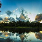 From Cusco: Manu Tree House 4 days/3 nights - Day 2: Into the heart of Manus biodiversity