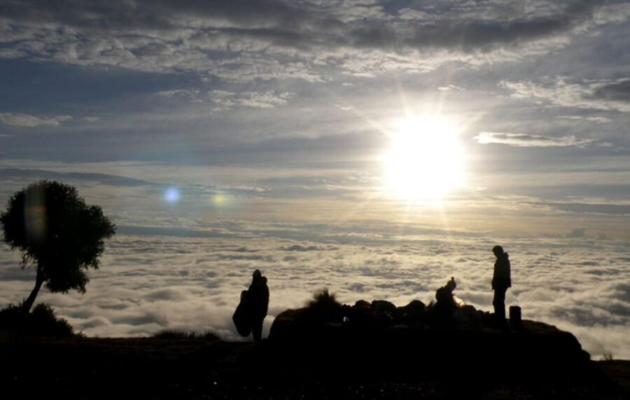 From Cusco: Manu Tree House 4 days/3 nights - Day 1: From Cloud Forest to Jungle Night
