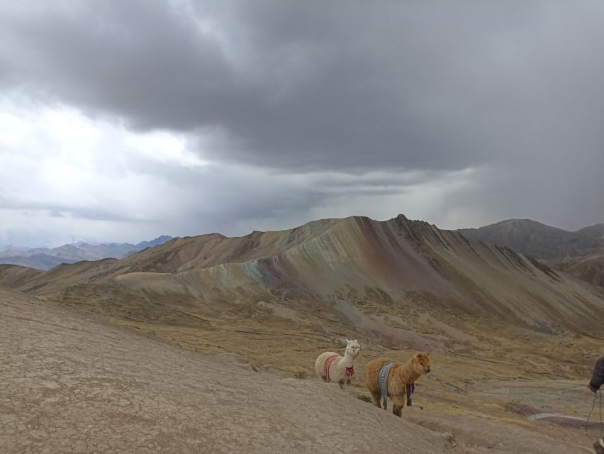 From Cusco: Palccoyo Rainbow Mountain Guided Tour - What’s Included and What’s Not