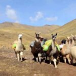 From Cusco: Rainbow Mountain Tour - Breakfast in Cusipata and Acclimatization