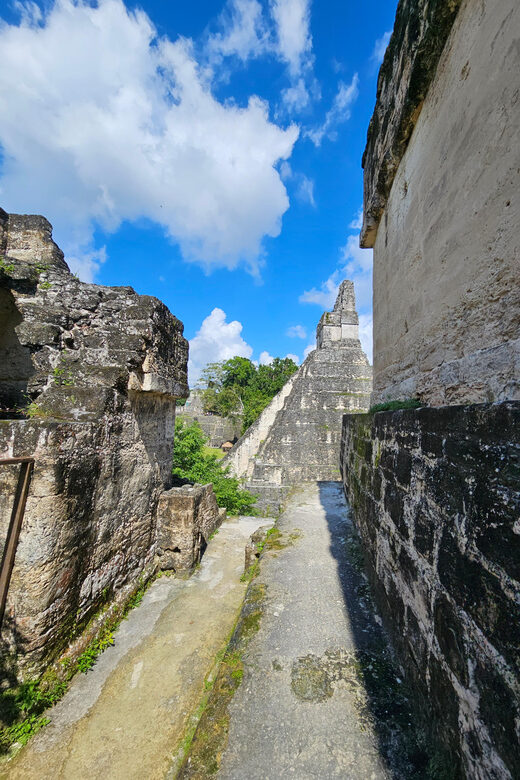 From Flores: Tikal National Park All Inclusive - What Makes This Tour Stand Out?