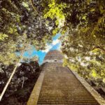 From Flores: Tikal National Park Private Day Trip with Lunch - Why the Focus on the Main Structures?