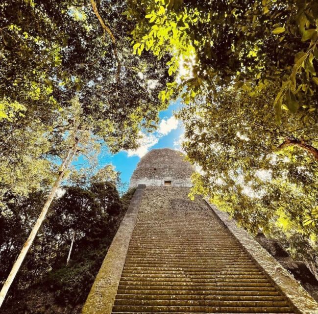 From Flores: Tikal National Park Private Day Trip with Lunch - Why the Focus on the Main Structures?