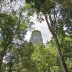 From Flores: Tikal Private Tour for Groups - The Itinerary: What You Can Expect