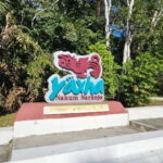 From Flores: Yaxha + Topoxte All-Inclusive Private - Setting the Scene: A Day in the Life of the Tour