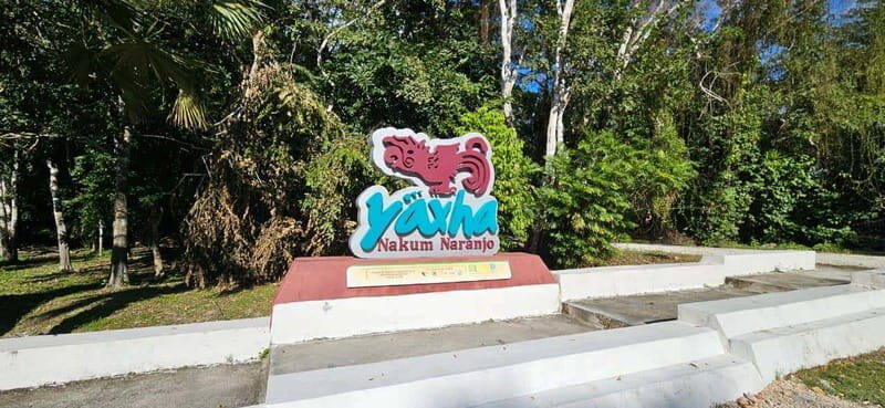 From Flores: Yaxha + Topoxte All-Inclusive Private - Setting the Scene: A Day in the Life of the Tour