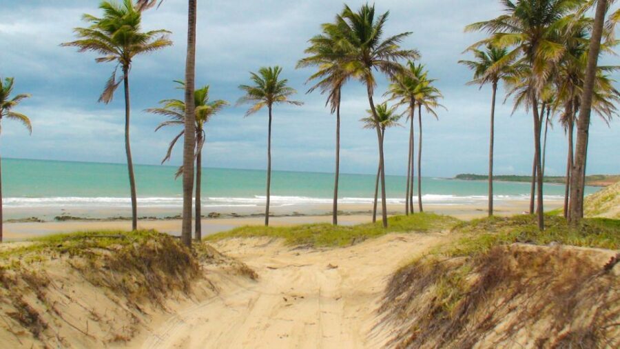 From Fortaleza: Lagoinha Beach Day Trip - Transportation and Guides: Comfort and Accessibility