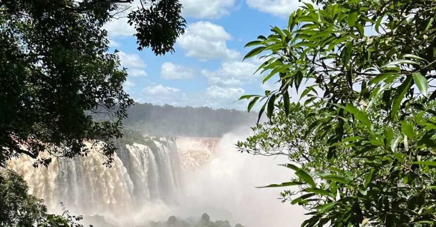 from Foz do Iguaçu: Private Tour on Iguaçu Falls - Analyzing the Value