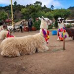 From Guatemala - Laguna Brava - Juan Dieguez Viewpoint - Magdalena Lagoon - Exploring Guatemala’s Natural Wonders