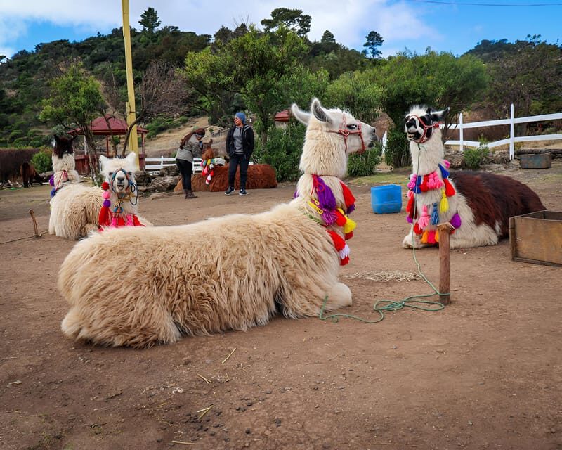 From Guatemala - Laguna Brava - Juan Dieguez Viewpoint - Magdalena Lagoon - Exploring Guatemala’s Natural Wonders