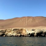 From Huacachina: Ballestas and Paracas Reserve - GROUP TOUR - What the Reviews Say: Authentic Perspectives