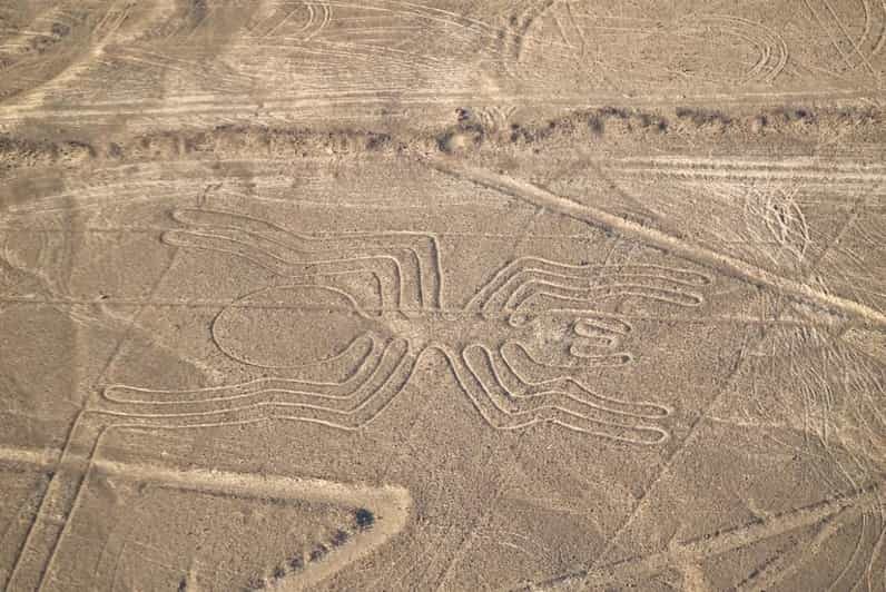From Ica: Archaeological tour of Nazca - What’s Included and What’s Not