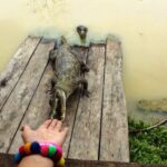 From Iquitos: 3-Day Amazon Jungle Adventure Trip - Exploring the Jungle and Wildlife Encounters