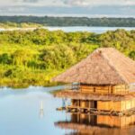 From Iquitos: Amazonas 4 Days 3 Nights - An Overview of the Amazon Jungle Tour from Iquitos