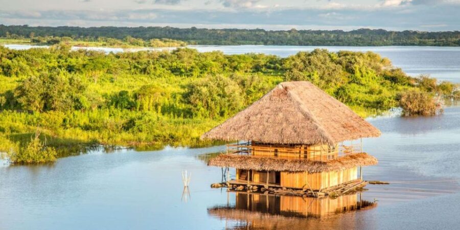 From Iquitos: Amazonas 4 Days 3 Nights - An Overview of the Amazon Jungle Tour from Iquitos