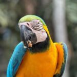 From Iquitos: Full day tour in the Peruvian jungle - An In-Depth Look at the Itinerary