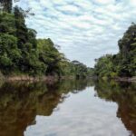 From Iquitos | Pacaya Samiria Reserve Expeditions - A Closer Look: What Makes This Tour Stand Out