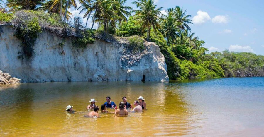 From João Pessoa: Full-Day Southern Coast Beaches Tour - How the Experience Values For Travelers