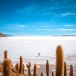 From La Paz: 4-Day Trip to San Pedro de Atacama w/Salt Flats - What to Expect From the Itinerary