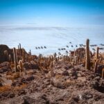 From La Paz: Uyuni and Andean Lagoons 5-Day Guided Trip - Key Points