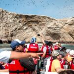 From Lima: Ballestas and Huacachina Oasis Full Day Tour - Who Will Love This Tour?