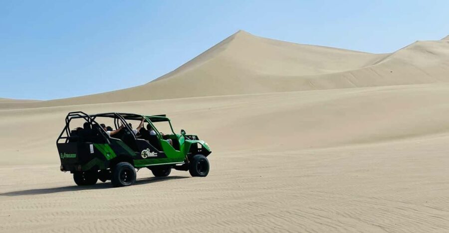 From Lima: Ballestas Islands, Huacachina, and Winery Tour. - What to Expect on the Tour