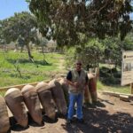 From Lima: city tour in Ica and visit the Huacachina oasis - What’s Included and What’s Not