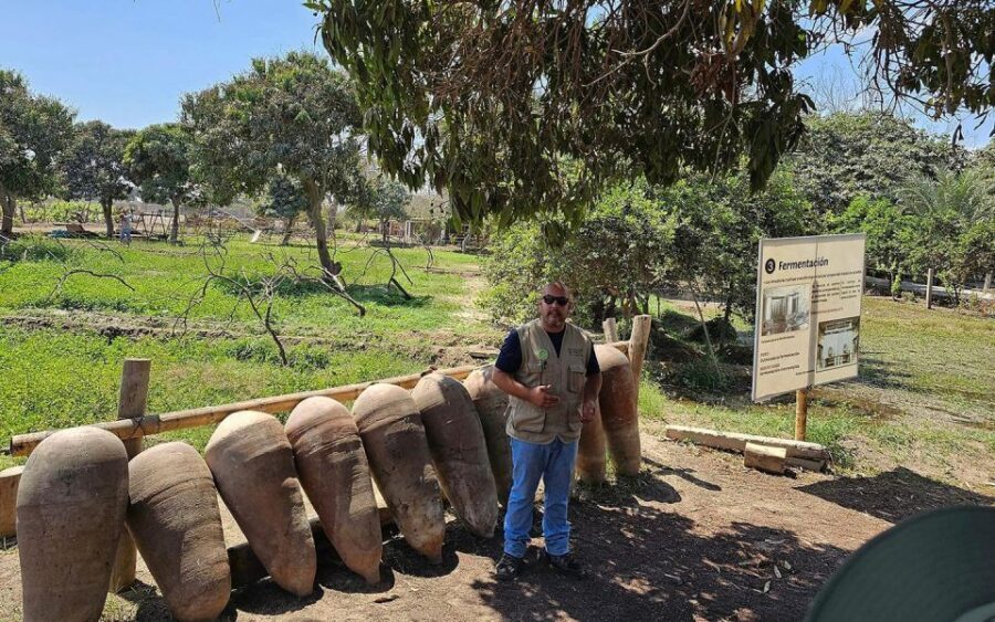 From Lima: city tour in Ica and visit the Huacachina oasis - What’s Included and What’s Not