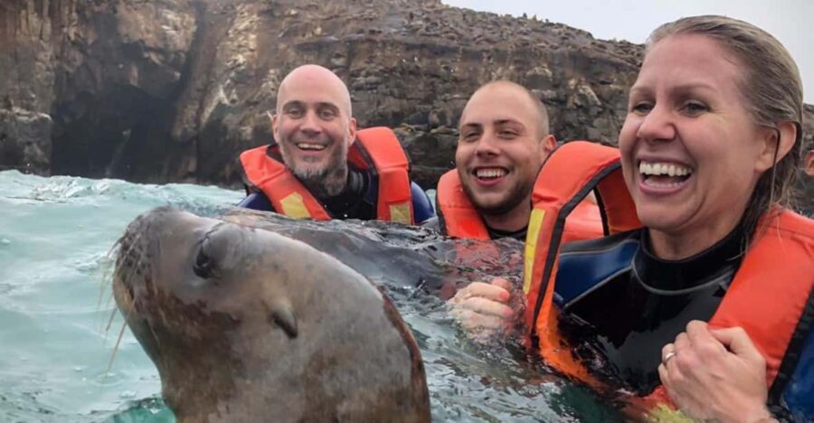 From Lima: Excursion Palomino Islands - Callao Bay -Half Day - Who Will Appreciate This Tour?