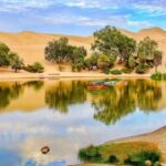 From Lima: Huacachina Oasis & Ballestas Island - ENGL / ESPA - Detailed Breakdown of the Itinerary and What You Can Expect