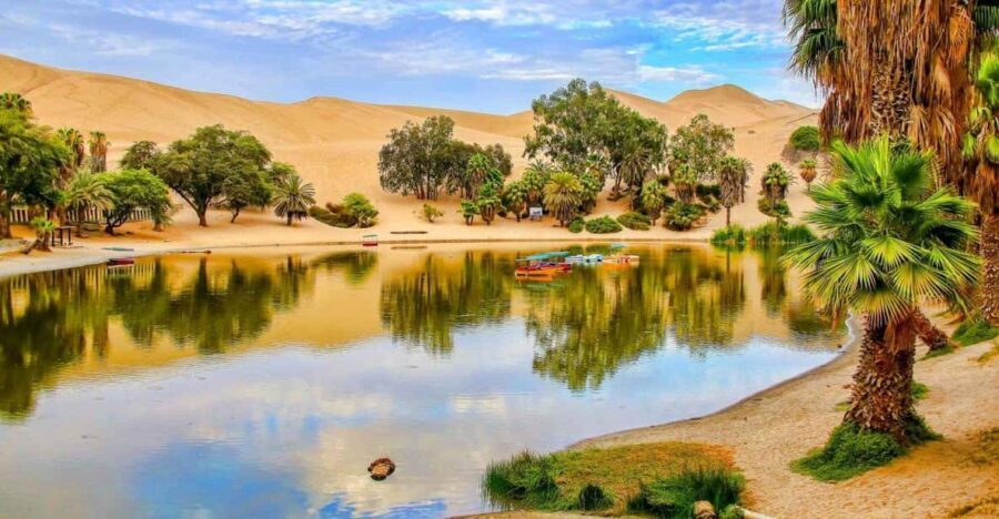 From Lima: Huacachina Oasis & Ballestas Island - ENGL / ESPA - Detailed Breakdown of the Itinerary and What You Can Expect
