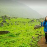 From Lima: Nature Excursion - Is This Tour Worth the Price?