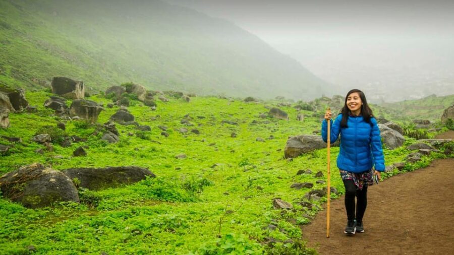 From Lima: Nature Excursion - Is This Tour Worth the Price?