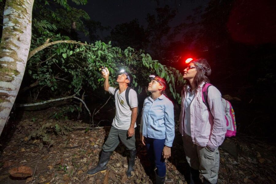 From Madre de Dios ||Night trekking in the Amazon jungle - Cost and Value