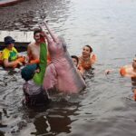 From Manaus: 3 or 4-Day Rio Negro & Anavilhanas River Cruise - Itinerary Breakdown