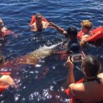 From Manaus: Negro River Half-Day Trip - Why This Tour Works