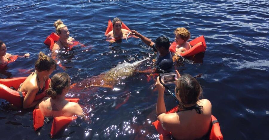 From Manaus: Negro River Half-Day Trip - Why This Tour Works