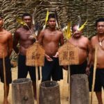 From Manaus: Tucandeira Ants Tribe Ritual Full Day Trip - Why This Tour Delivers Value