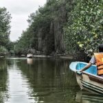 From Mancora: National Sanctuary of the Mangroves - Tumbes - Exploring the Mangroves of Puerto Pizarro