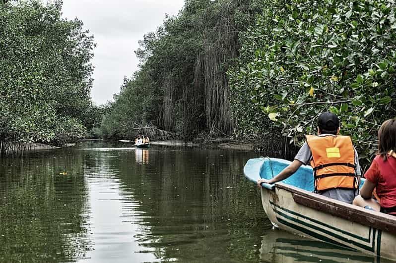 From Mancora: National Sanctuary of the Mangroves - Tumbes - Exploring the Mangroves of Puerto Pizarro