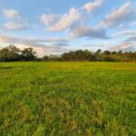 From Medellin; (All-In) The Real Horseback Ranch Experience - What Makes This Tour Stand Out?