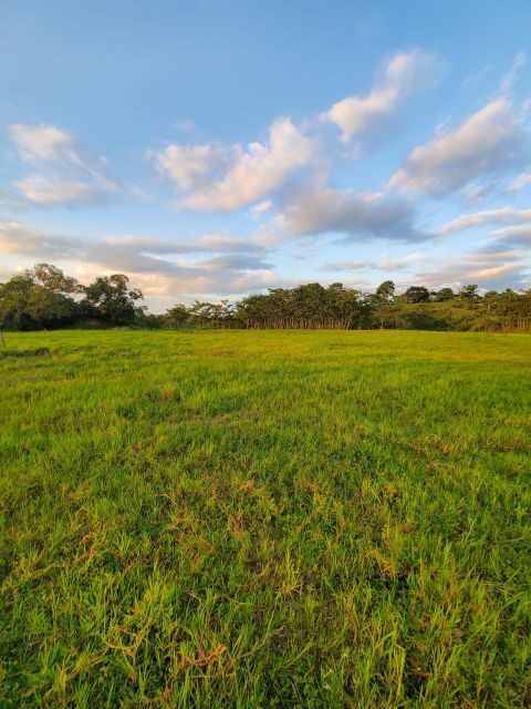 From Medellin; (All-In) The Real Horseback Ranch Experience - What Makes This Tour Stand Out?