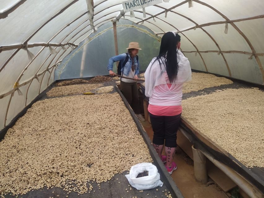 From Medellin: Private Guatape Car Tour with Coffee Tour - An In-Depth Look at What to Expect