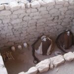 From Nazca: Chauchilla Cemetery Tour - What to Expect on the Tour