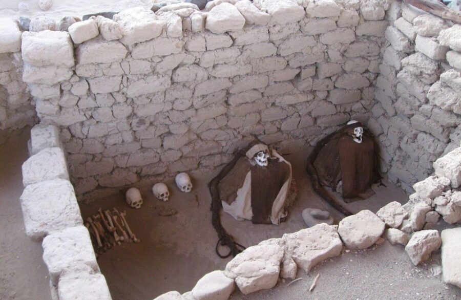 From Nazca: Chauchilla Cemetery Tour - What to Expect on the Tour